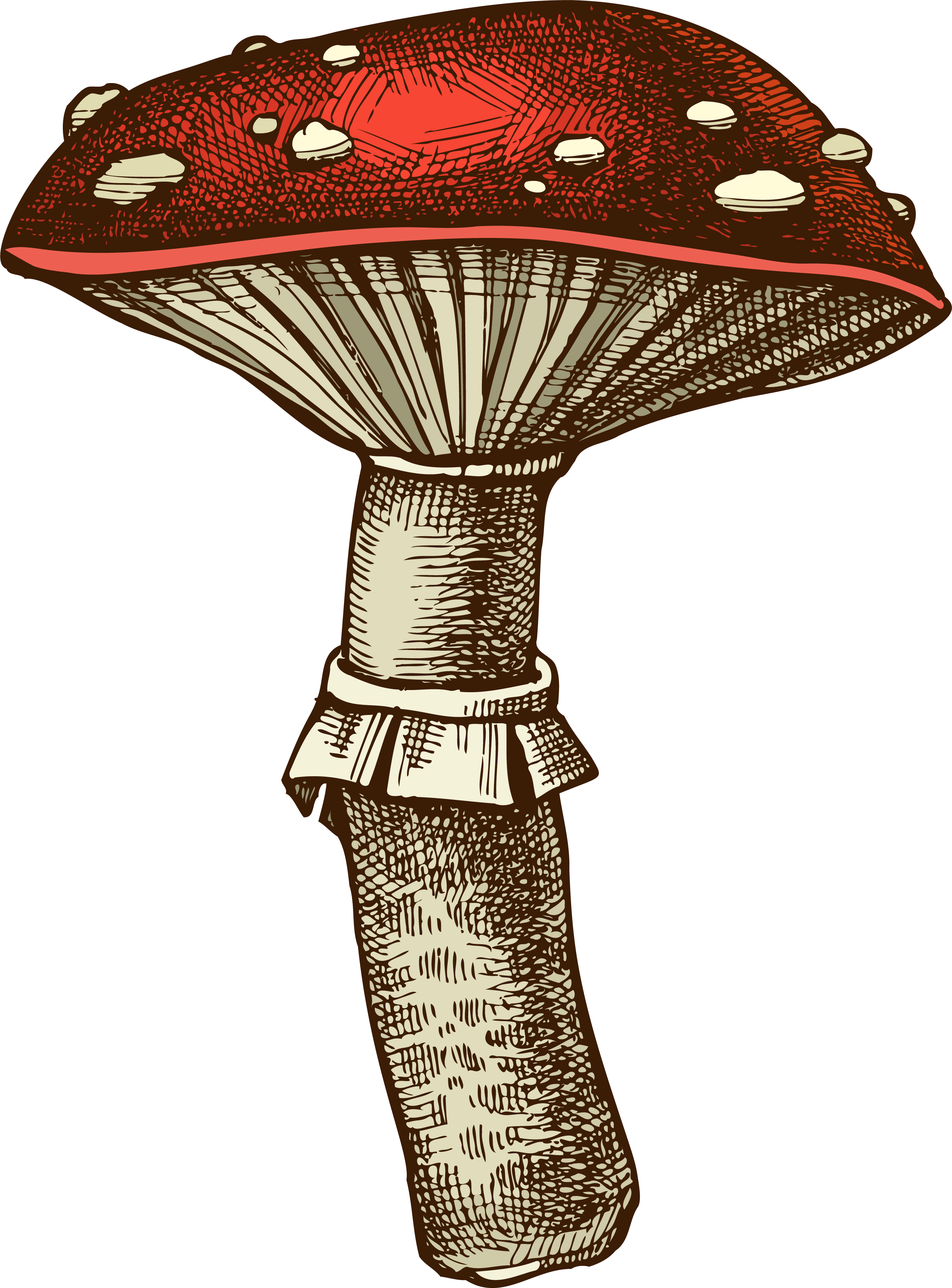 Conferences – Kirsten Schuhmacher's Portfolio